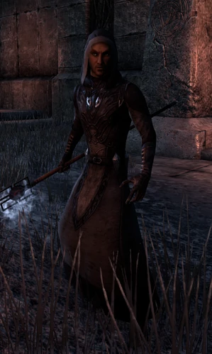 Cryomancien du Culte du Ver | Wiki The Elder Scrolls | Fandom