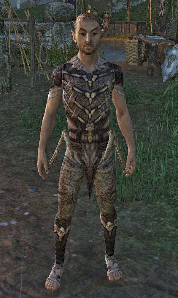 Deregor | Elder Scrolls | Fandom