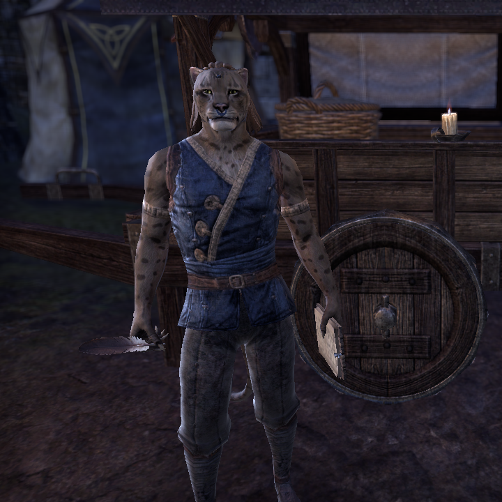 Торговец Ланбар The Elder Scrolls Wiki Fandom