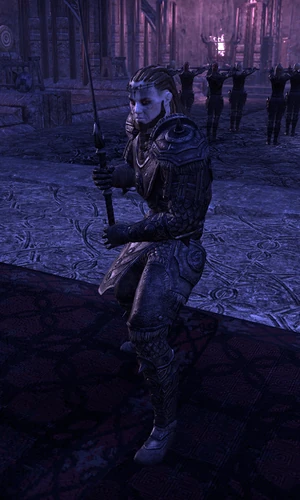 Exarch Braxhard | Elder Scrolls | Fandom