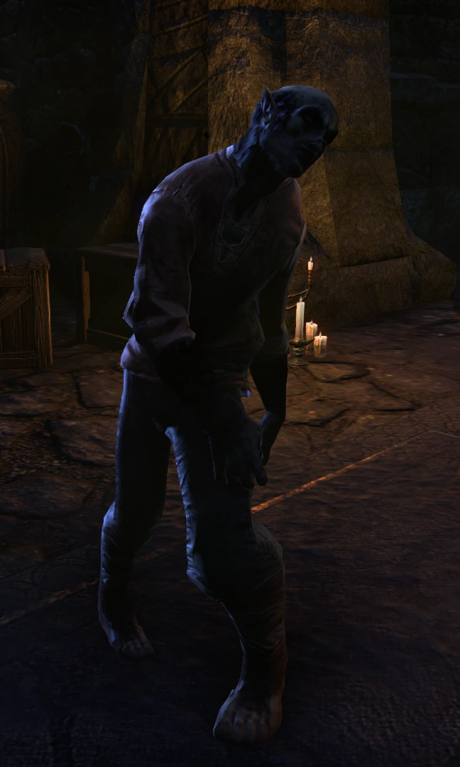 Garil | Wiki The Elder Scrolls | Fandom