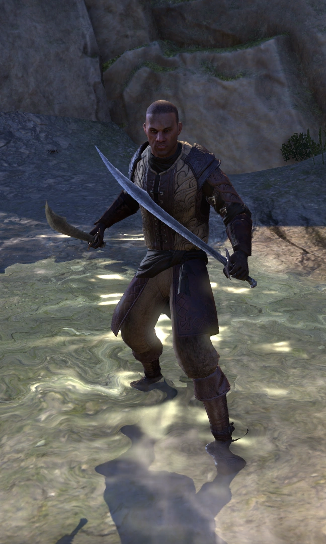 Night Runner Raider | Elder Scrolls | Fandom