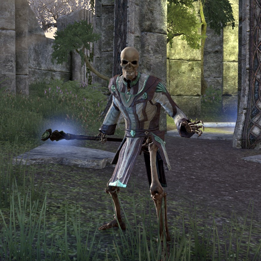 Капитан Тарулае The Elder Scrolls Wiki Fandom