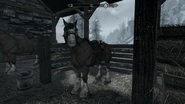 Windhelm Stables | Elder Scrolls | Fandom