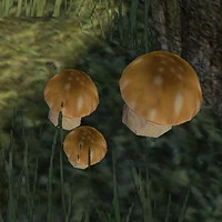 Taburete del diablillo (Online) | Elder Scrolls | Fandom