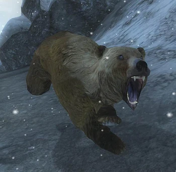 Bear (Oblivion) | Elder Scrolls | Fandom