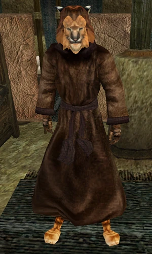 Dro'Zaymar | Elder Scrolls | Fandom