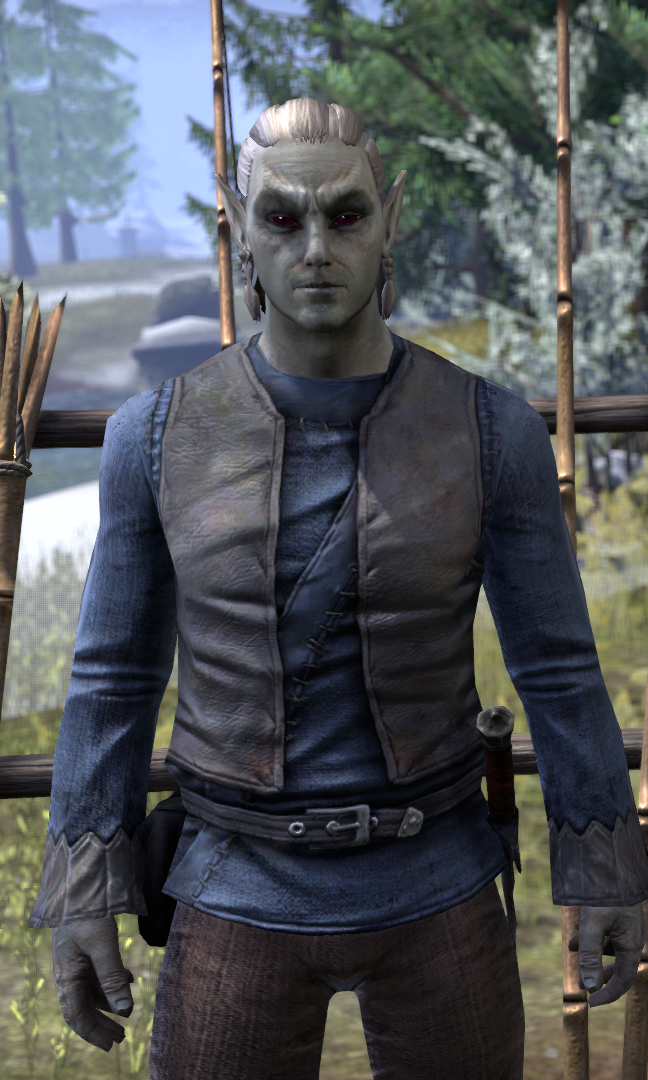 Dulvis Mothril Wiki The Elder Scrolls Fandom