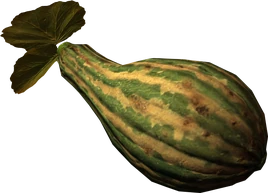 Gourd | Elder Scrolls | Fandom
