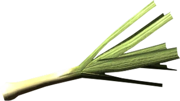 how to make grilled leeks skyrim