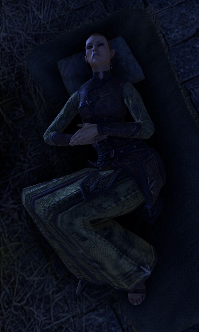 Mendarië | Wiki The Elder Scrolls | Fandom