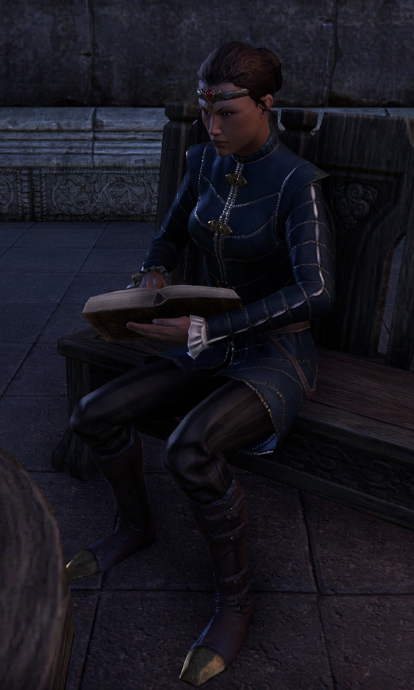 Category:Dark Brotherhood: Anvil Castle Characters | Elder Scrolls | Fandom