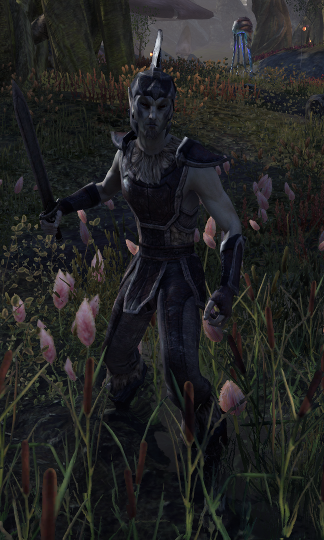 Recrue Malmenaît Wiki The Elder Scrolls Fandom