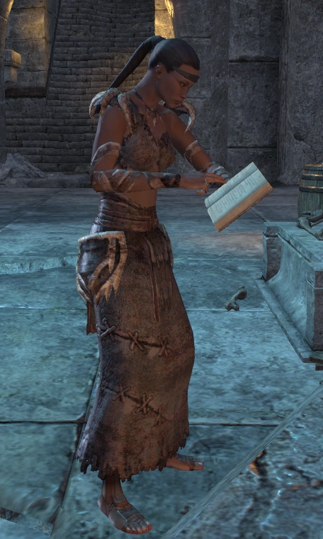 Wyress Zylle | Elder Scrolls | Fandom