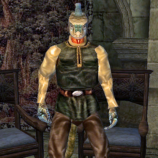 Сцинк в Тени Дерева The Elder Scrolls Wiki Fandom