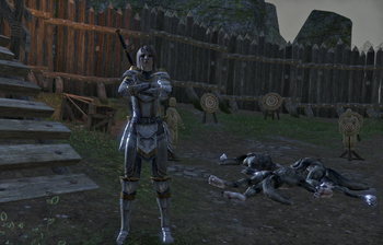 Rally Cry | Elder Scrolls | Fandom