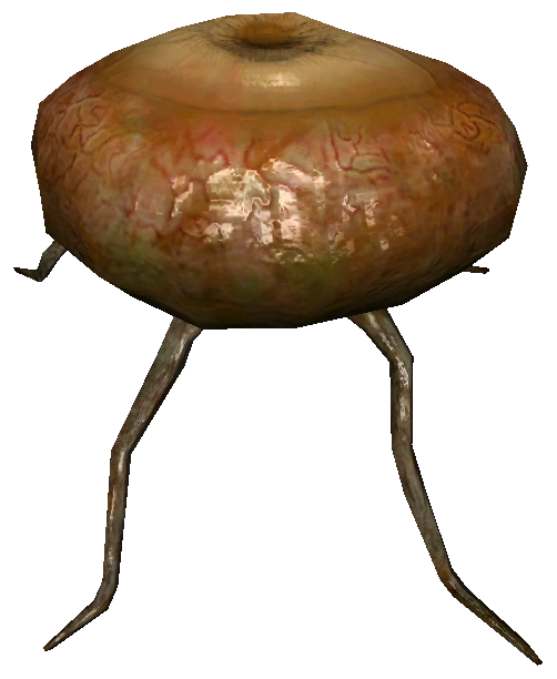 Watcher's Eye (Skyrim Creation Club) | Elder Scrolls | Fandom