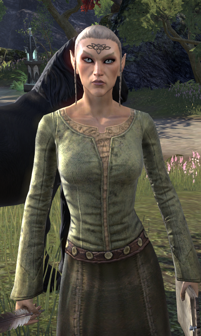 Erinquen Wiki The Elder Scrolls Fandom