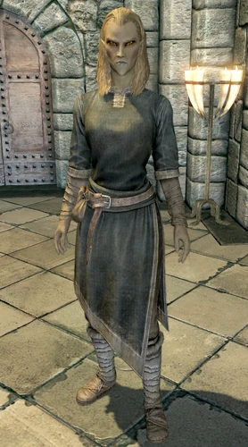 Nirya | Elder Scrolls | Fandom