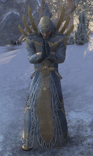 Trinimac Priest | Elder Scrolls | Fandom