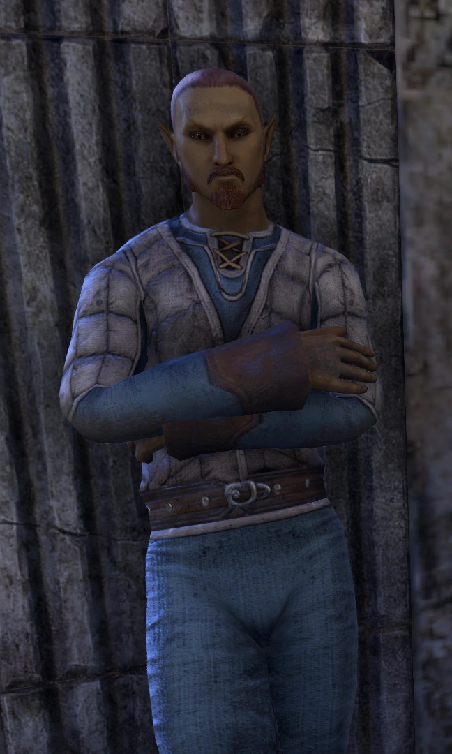 Rellus (Altmer) | Wiki The Elder Scrolls | Fandom