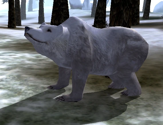 Snow Bear (Bloodmoon) | Elder Scrolls | Fandom