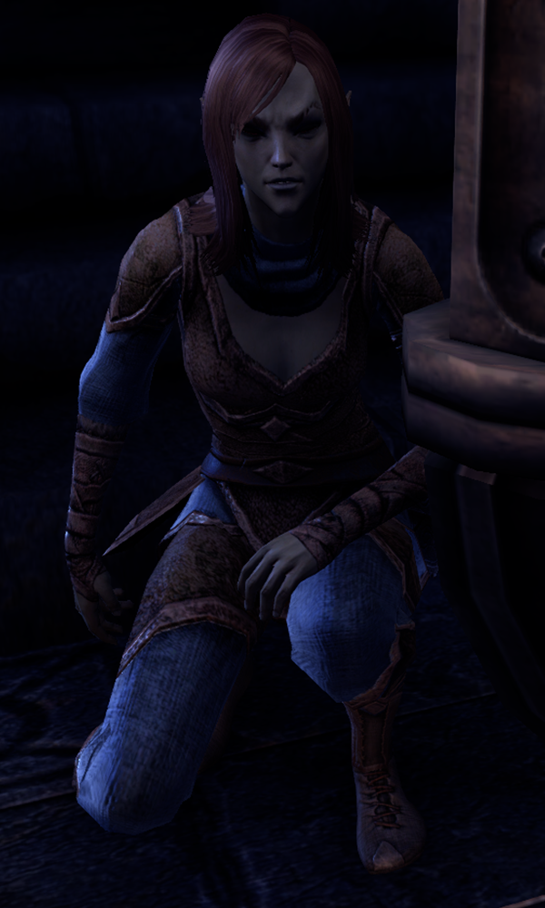 Category:Online: Windhelm Characters | Elder Scrolls | Fandom