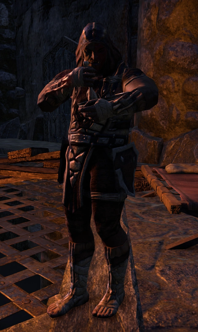 Nash | Wiki The Elder Scrolls | Fandom