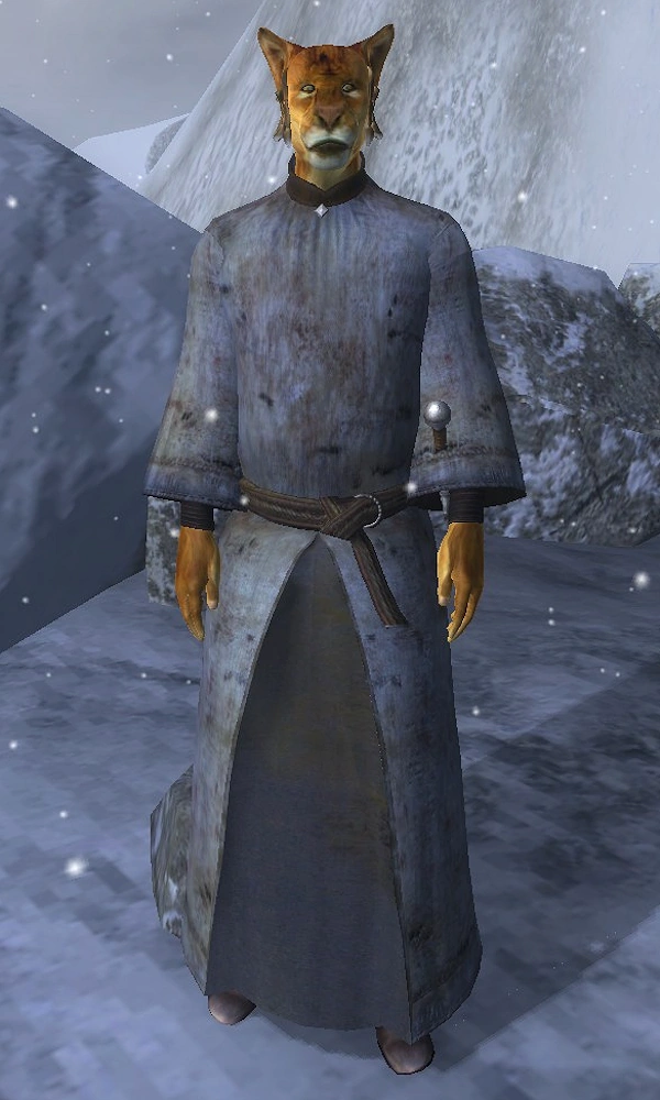 Ri'Jirr | Elder Scrolls | Fandom