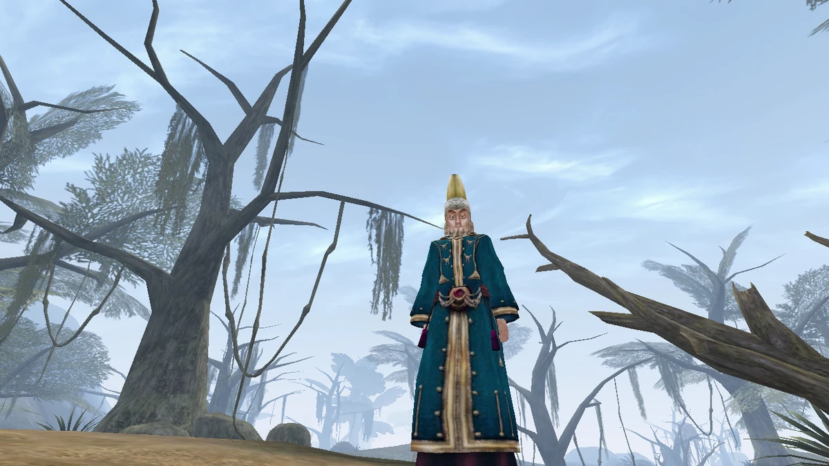 A Falling Wizard | Elder Scrolls | Fandom