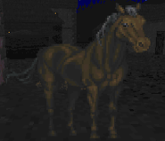 Horse (Daggerfall) | Elder Scrolls | Fandom