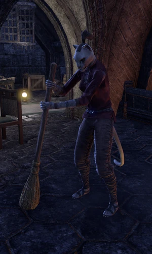 Mouse | Elder Scrolls | Fandom