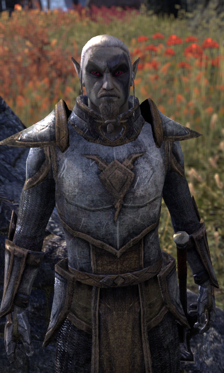 Sergent Ren Wiki The Elder Scrolls Fandom
