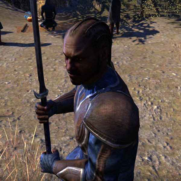 Аликрский мастер меча The Elder Scrolls Wiki Fandom