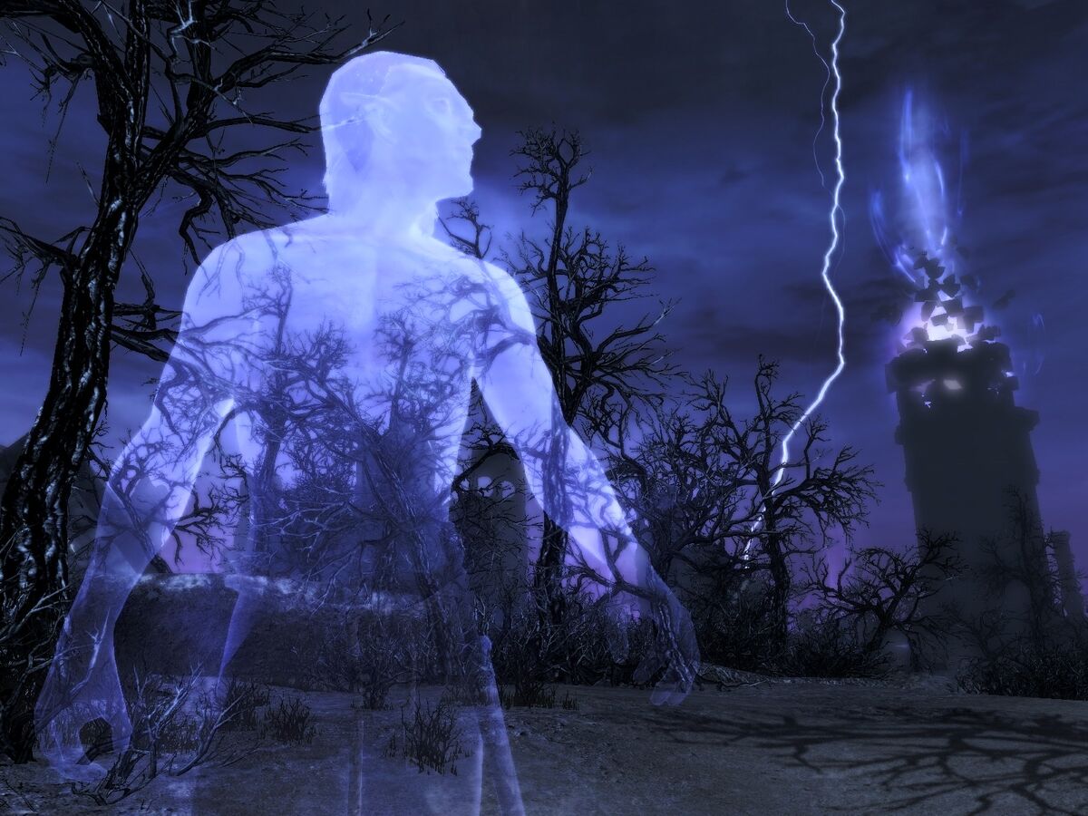 Нетерпеливый святой The Elder Scrolls Wiki Fandom