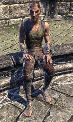 Manroth | Elder Scrolls | Fandom