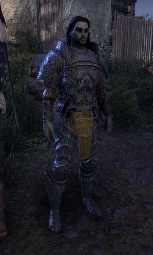 Watch Captain Bethes | Elder Scrolls | Fandom