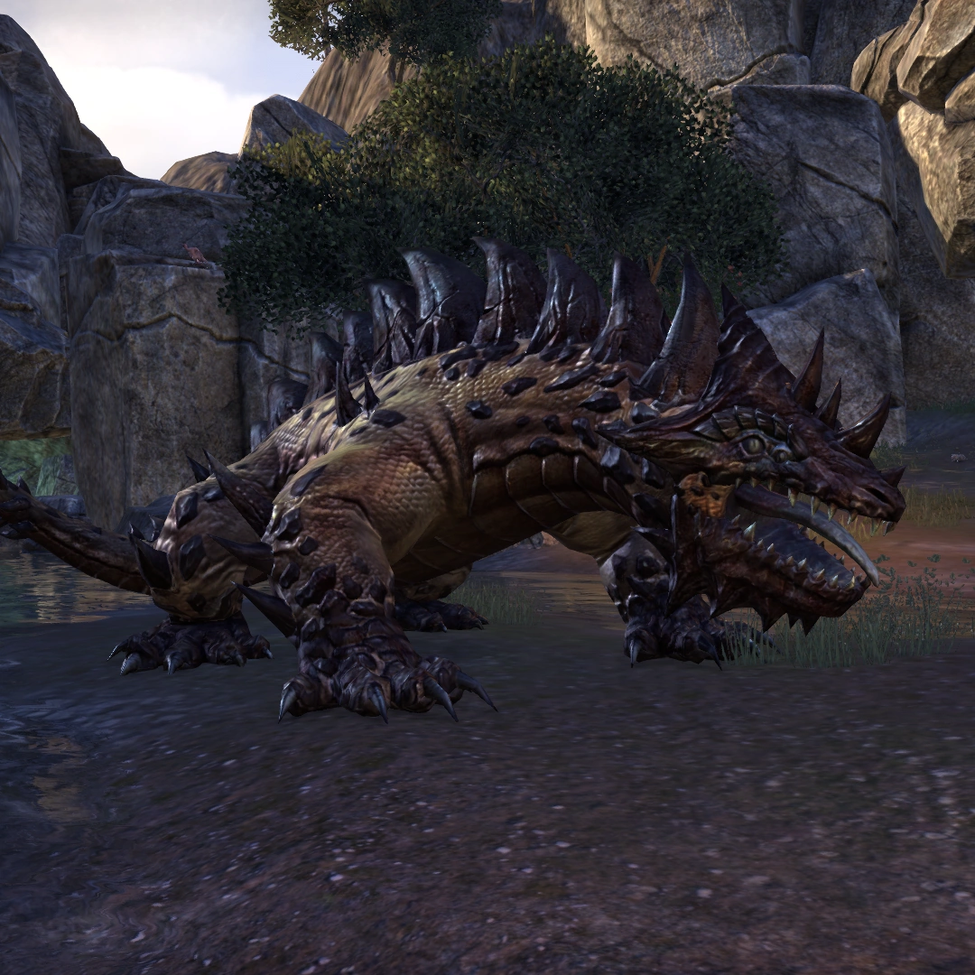 Wamasu (Online) | Wiki The Elder Scrolls | Fandom