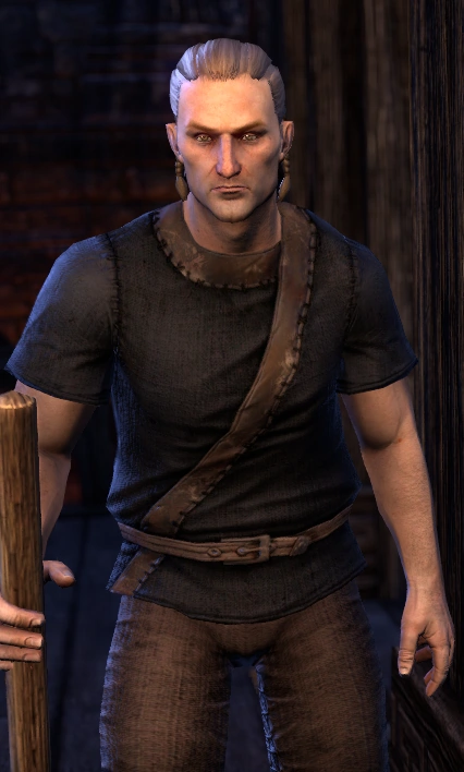 Domitius Doran | Wiki The Elder Scrolls | Fandom