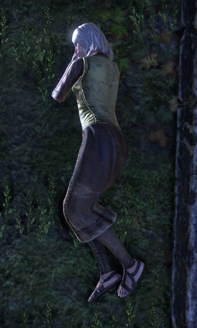 Erind Sansone | Wiki The Elder Scrolls | Fandom