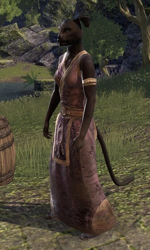 Nazala | Elder Scrolls | Fandom
