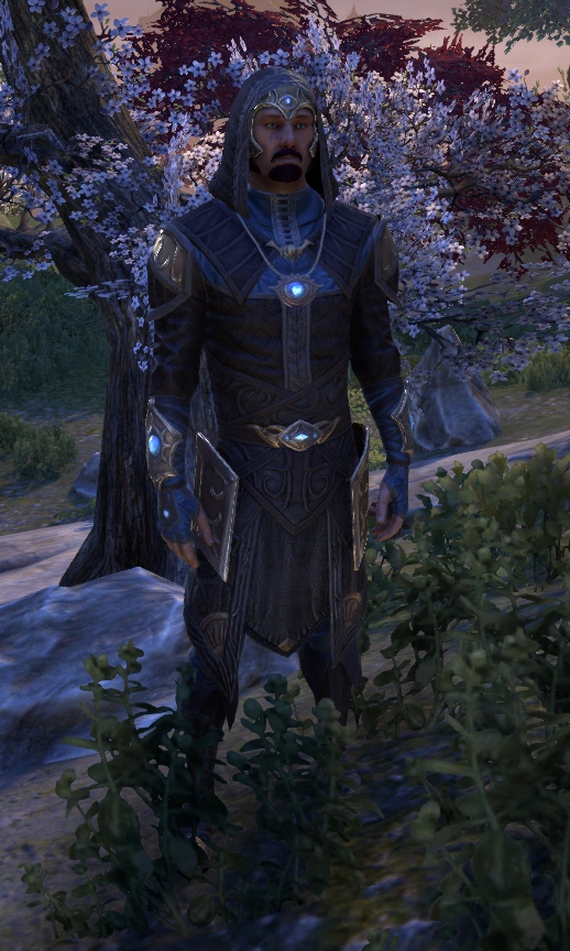 Noloen Jerick | Wiki The Elder Scrolls | Fandom