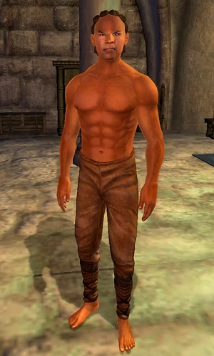 Roderick | Elder Scrolls | Fandom