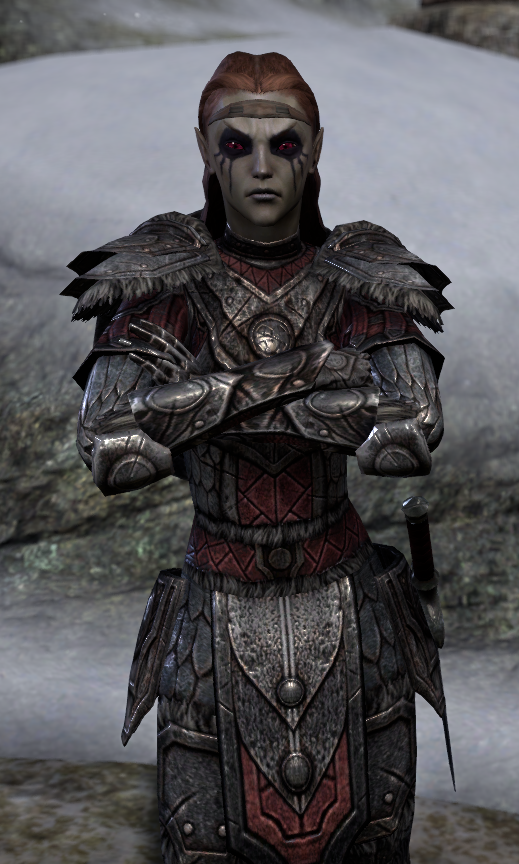 Sergent Nashyv Wiki The Elder Scrolls Fandom