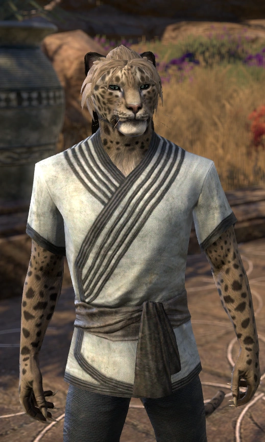 Adepte Runji | Wiki The Elder Scrolls | Fandom