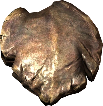 Chitin Plate | Elder Scrolls | Fandom