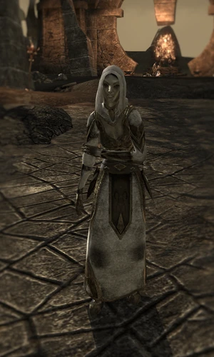 Magister Enuse | Elder Scrolls | Fandom