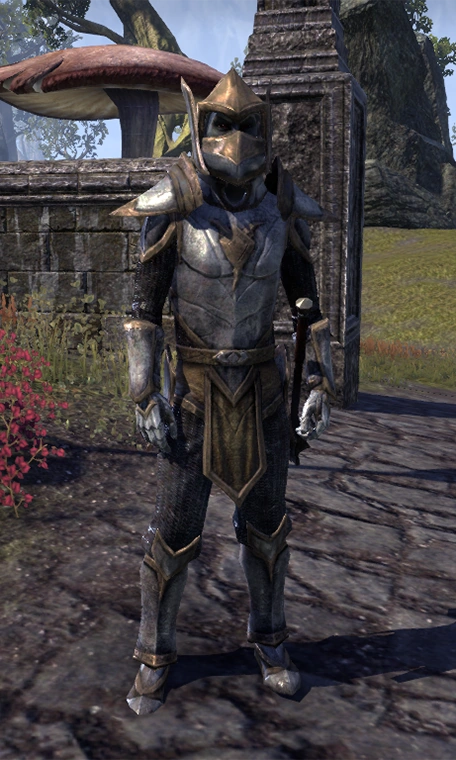 Protecteur de Narsis | Wiki The Elder Scrolls | Fandom