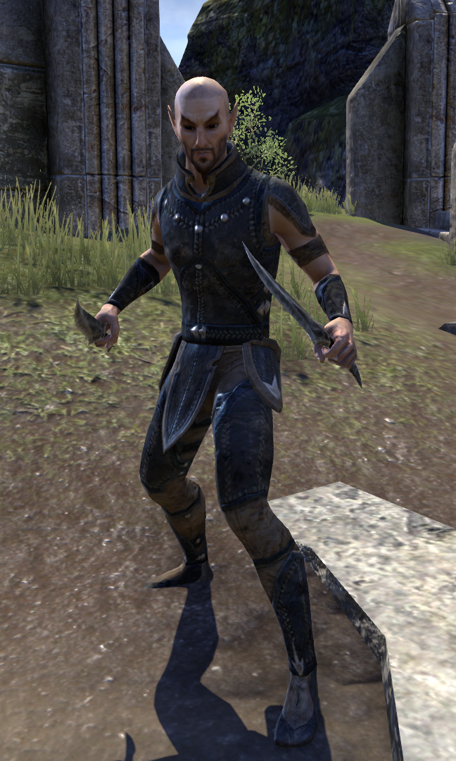 Égorgeur Initié Wiki The Elder Scrolls Fandom
