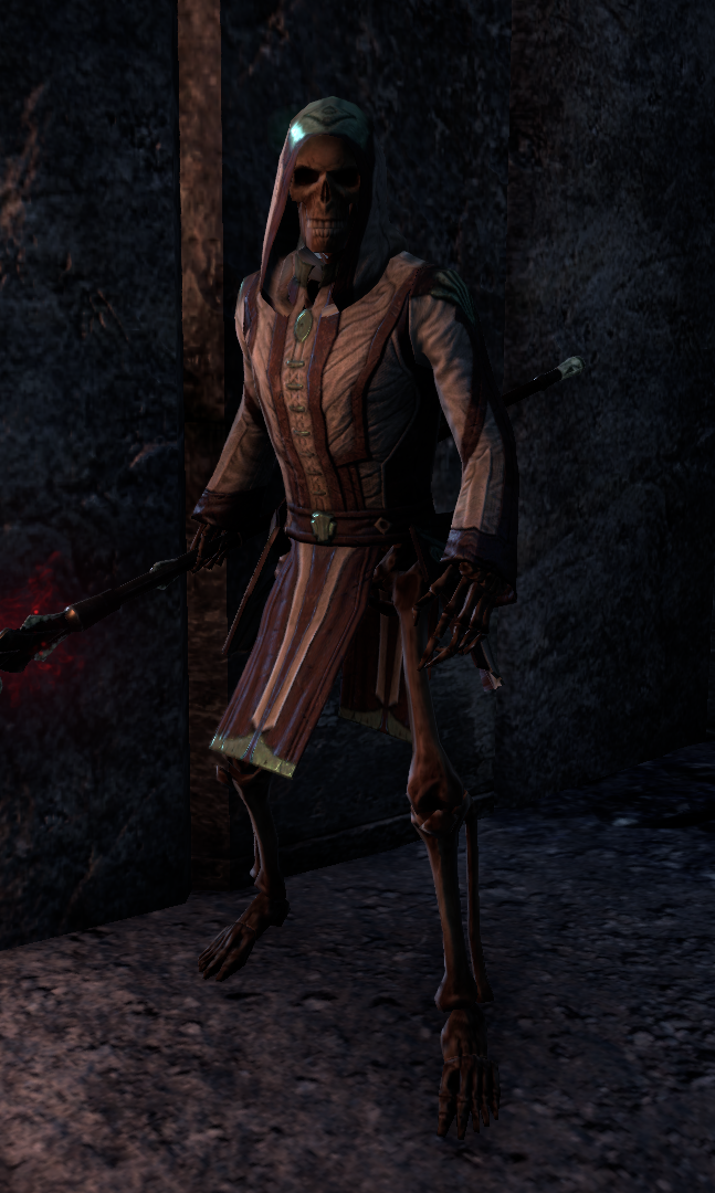 Illusionniste Squelette Wiki The Elder Scrolls Fandom
